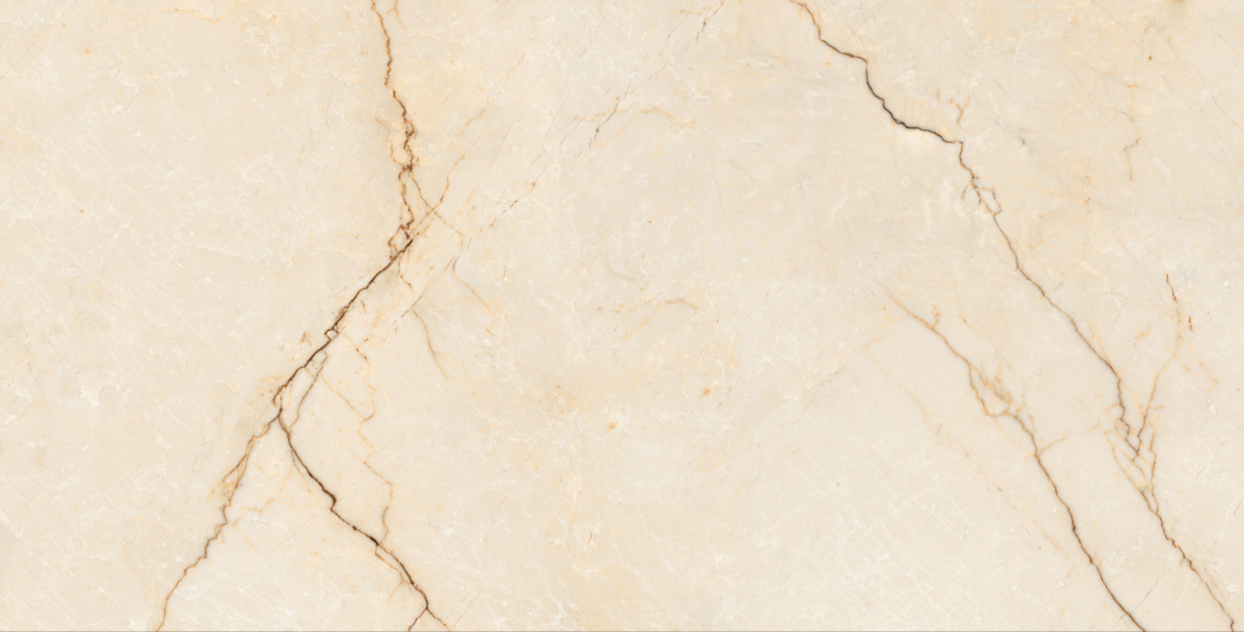 ROSALIA GOLD – Your Professional Flooring Supplier